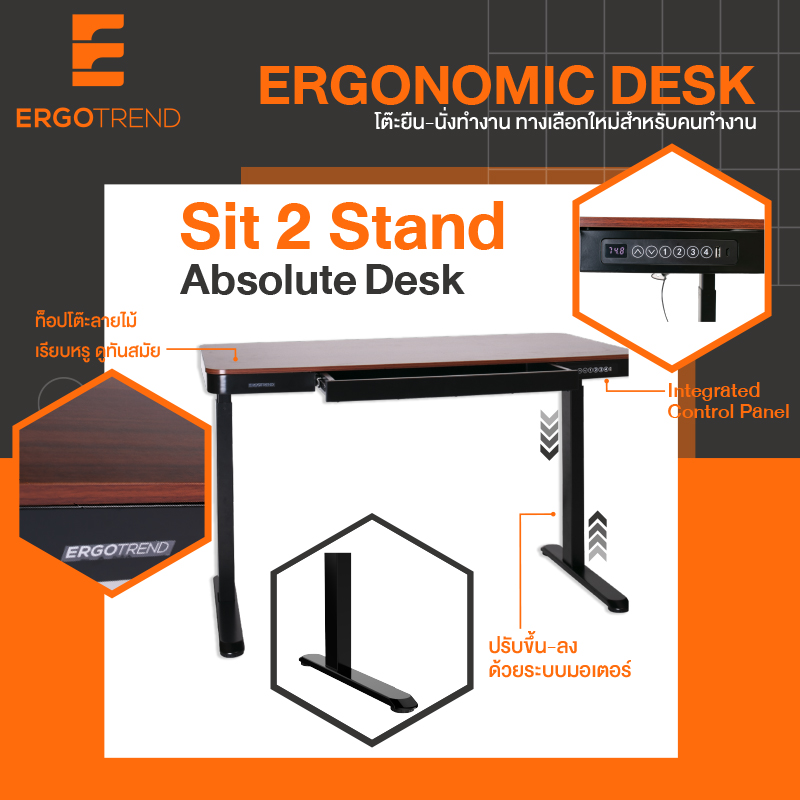 Buy ERGOTREND Sit 2 Stand Ergonomic Desk (White) Absolute Desk at Best ...